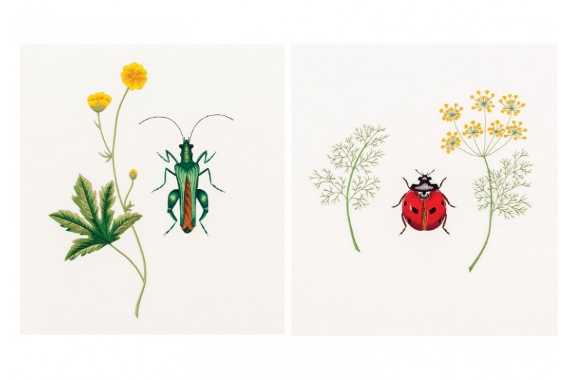 Livre de broderie " Insectes & plantes en peinture à l'aiguille